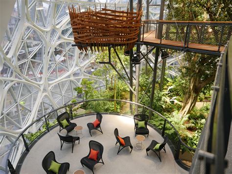 Welcome To Amazons Jungle Inside The Spheres Where 40 000 Plants