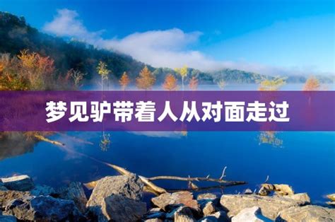 梦见驴带着人从对面走过 命理解梦