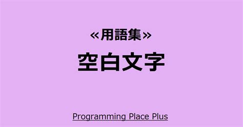 空白文字 Programming Place Plus 用語集