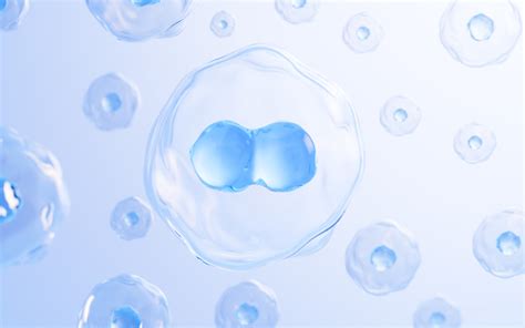 파란색 배경에 세포 분열과 떠 있는 세포 피부 치료 생물학 및 의학 개념 3d 렌더링 0명에 대한 스톡 사진 및 기타 이미지 Istock