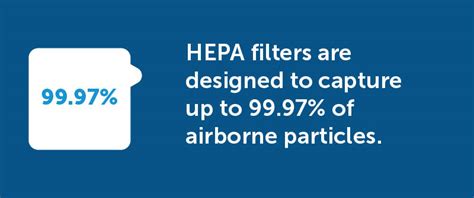 Should You Buy Vacuum Cleaner Filters Online Blog Discount Filters