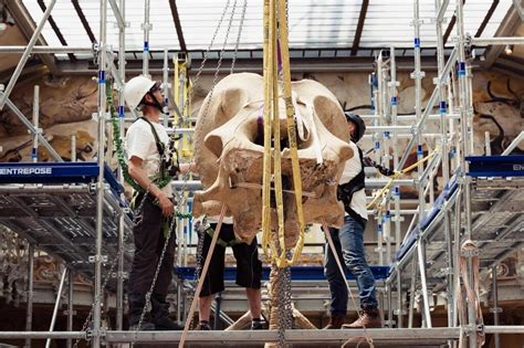 Reportage Au Muséum National Dhistoire Naturelle La Seconde Jeunesse