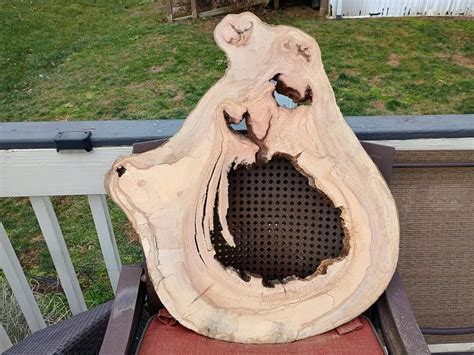 1 3 8by 26 75 Spalted Sycamore Tree Slice Hole Mirror Project Wood Primitive Tree Slice Wood