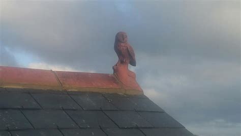 Barry Taplin Roofing Saint Austell