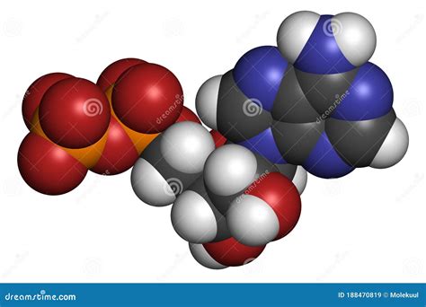 Adenosine Diphosphate Adp Molecule Plays Essential Role In Energy Use And Storage In The Cell