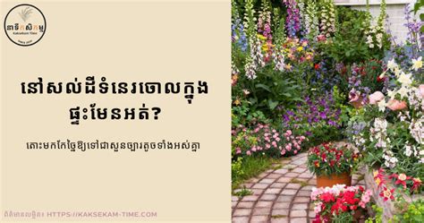 ដាំដំណាំងាយៗនៅផ្ទះ នាទីកសិកម្ម Kaksekam Time