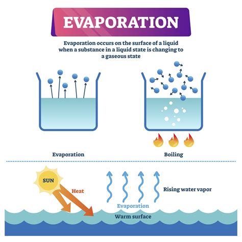 Evaporation Meaning