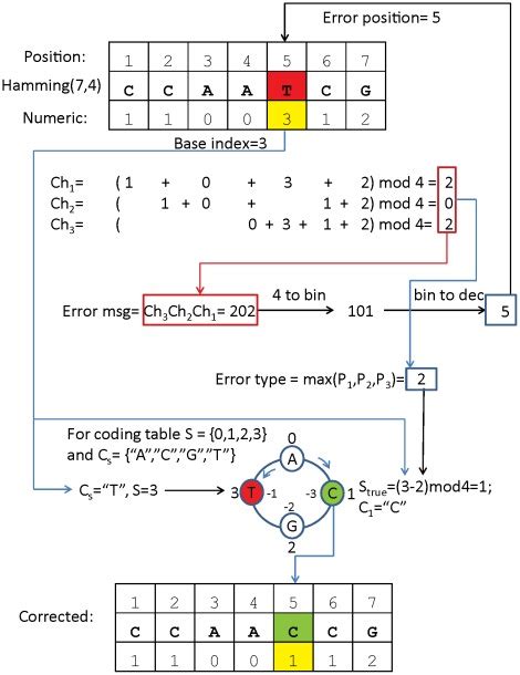 a 7 base sequence is indexed by position and value of each base is