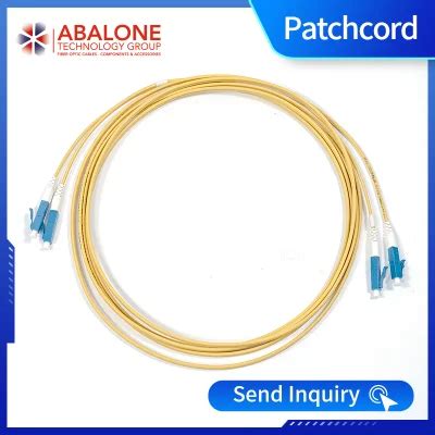 Abalone Simplex Duplex G D Sc LC FC St Connector Jumper Sm Upc PC APC M LSZH Fiber Optic