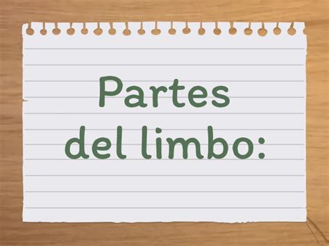 Partes De Una Hoja Tarjetas Flash