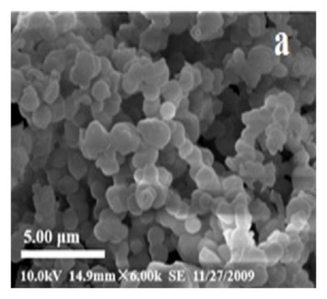 SEM A And TEM B And C Images Of The Synthesis MFS Download Scientific Diagram