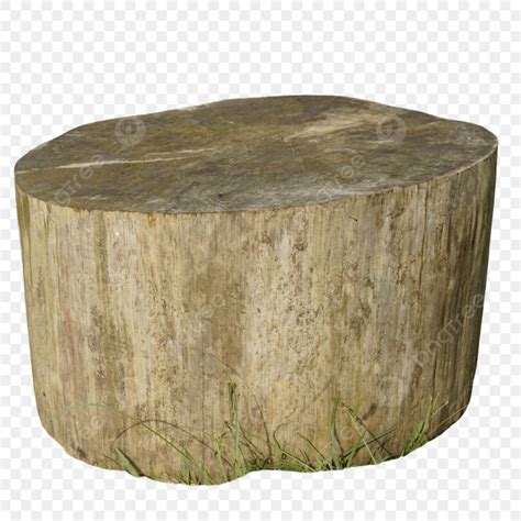 Cutting Trees PNG Picture Cut Of Tree Wood Tree Cut Cut PNG Image