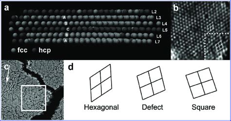 A Side View Of The Stacking Sequence Of Layers 2 Top To 7 Bottom Download Scientific