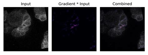 Image Classification With Convolutional Neural Networks Form And Formula