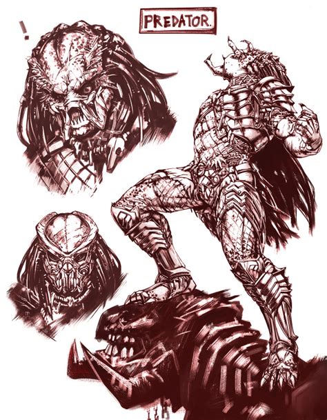 Predator Favourites By WolfHero28 On DeviantArt Predator Favourites By WolfHero28 On DeviantArt