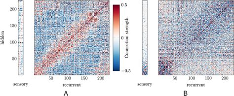 The Weight Matrices The Organization Of Connections Between Inputs Download Scientific Diagram