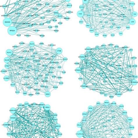 the co expression networks are visualized for six different subtypes of