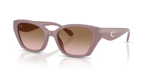 Coach Cby91 M 53 19 With Brown Lenses And Brown Frame Sunglass Hut®