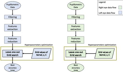 Table 1 From Automatic Detection Of Genetic Diseases In Pediatric Age Using Pupillometry