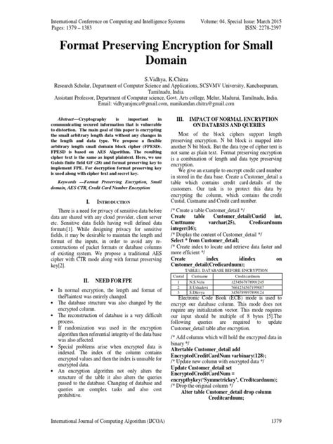 Format Preserving Encryption For Small Domain Pdf Cryptography