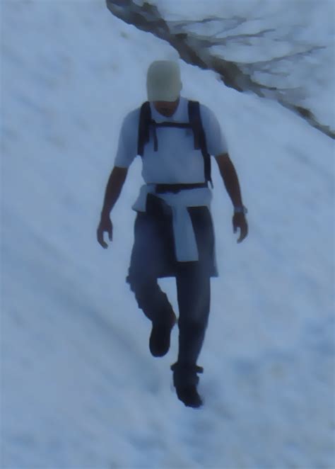 Original Image From The Inria Dataset Download Scientific Diagram