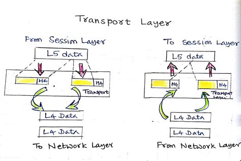 Networkingdccn Osi Reference Model