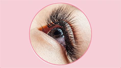 The Lifting Effect Of L Shaped Lash Extensions Curacoro Ca