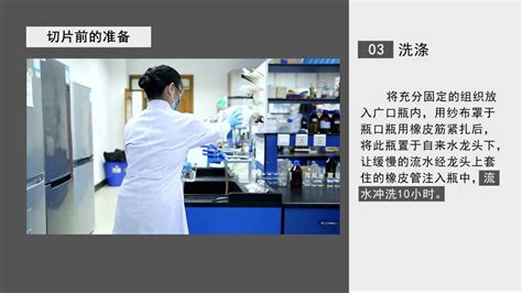 组织胚胎学中石蜡切片制作流程高清1080p在线观看平台腾讯视频