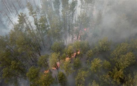 В окупації «страждає від 1 до 2 9 млн га природоохоронних територій