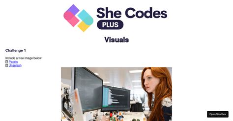 Visuals Challenge Forked Codesandbox