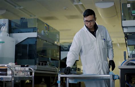 Infinium Global Screening Array 24 Kit 群体规模遗传学