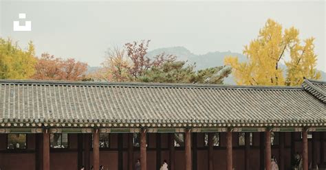 건물 앞에 서 있는 한 무리의 사람들 사진 Unsplash의 무료 경복궁 이미지