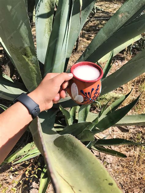 Premium Photo Traditional Mexican Fermented Drink Called Pulque In
