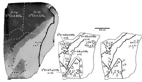 Ion Microprobe Analyses Dots Of δ 18 O In A Polished Zircon The Top Download Scientific