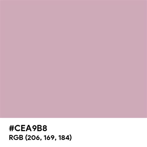 Pale Dusty Pink Color Hex Code Is Cea9b8