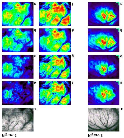 Effects Of Periodic Stimulation Pattern And High Frequency Stimulation