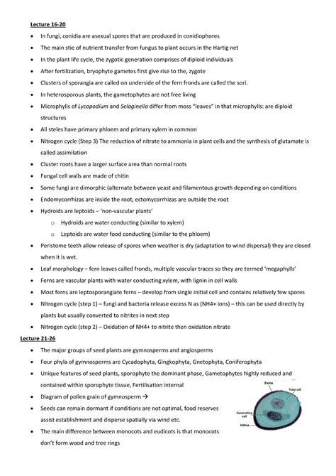 Biol123 Notes Lectures 16 36 For The Final Exam Warning Tt Undefined Function 32 Lecture