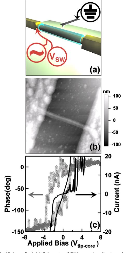 Figure 1 From Redox Based Resistive Switching In Ferroelectric Perovskite Nanotubes Semantic