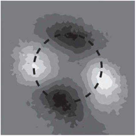 14 Light Intensity Of The Four Lobed Structures Of The Double Helical Download Scientific