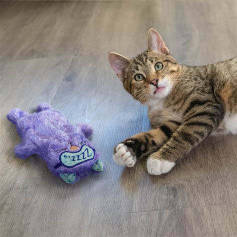 Catstages Purr Pillow Cat Plush Toy