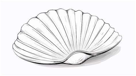 Detailed Cockleshell Sketch On White Background Premium Ai Generated