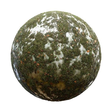 Grass With Dry Leaves And Ice Pbr Texture
