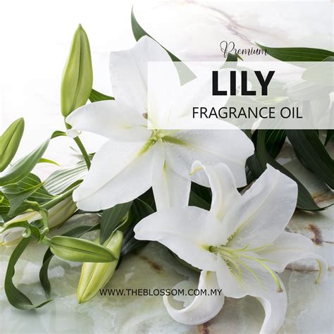Lily Fragrance Oil At David Carstens Blog