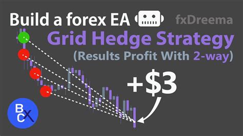 Build A Forex EA Robot No Code Grid Hedge Strategy Results Profit