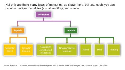Psyc 100 Chapter 5 Memory Diagram Quizlet