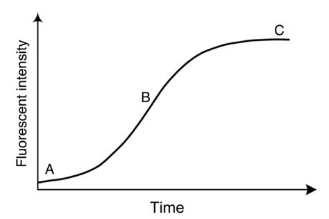 Solved 1 A Typical Time Course Of Actin Polymerization Is