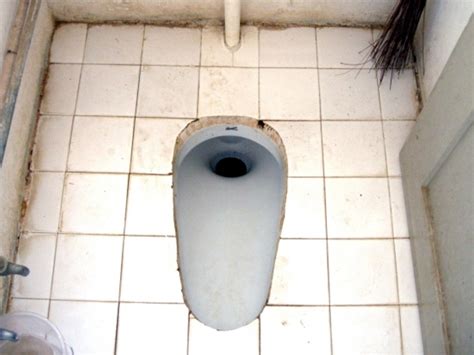 Tax Office Should Build Special ‘squat Toilets Australian Services