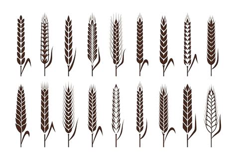 Premium Vector Vector Cereal Crops Icons