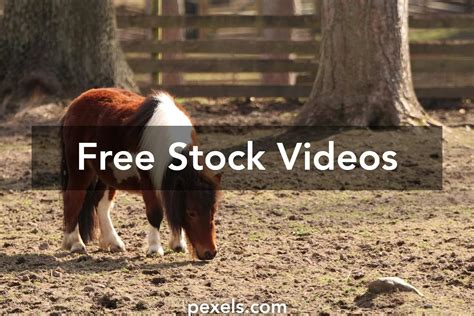 Cutegirlfingering Videos Download The Best Free 4k Stock Video