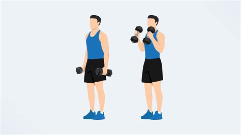 Hammer Curls How To Do Them And The Benefits For Building Bigger
